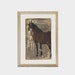 Vintage Horse Study | Antique Equestrian Print | Digital Download ...