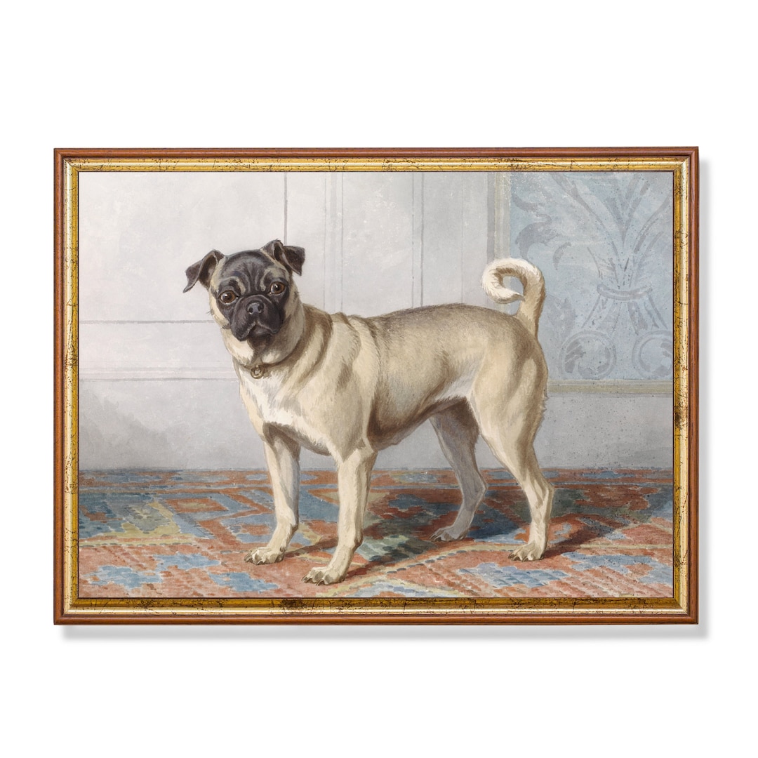 Victorian Pug Dog Portrait: Antique 19th Century Style (digital ...
