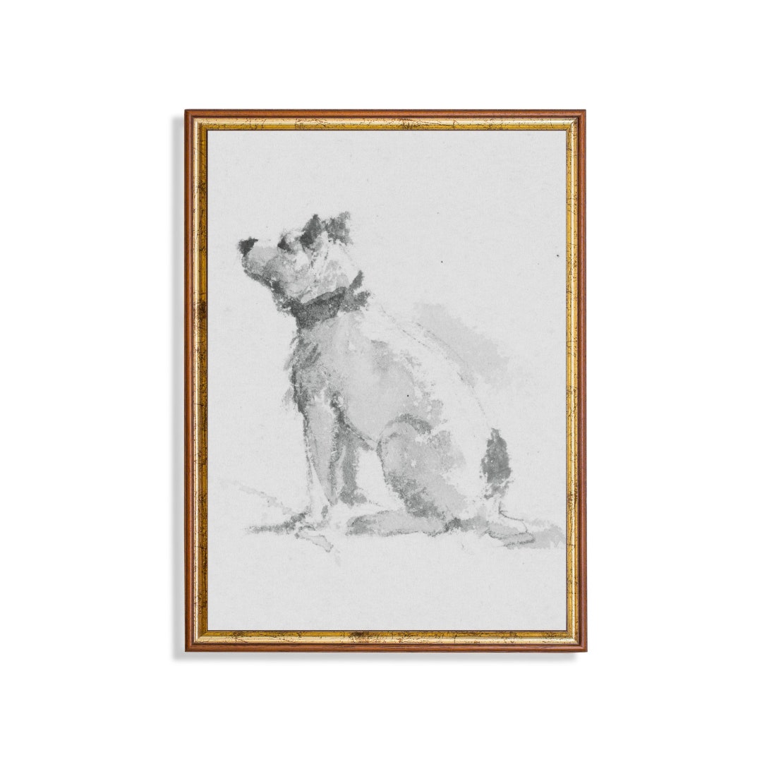 Vintage Sketch Drawing | Antique Dog Print | Animal Drawing Art ...