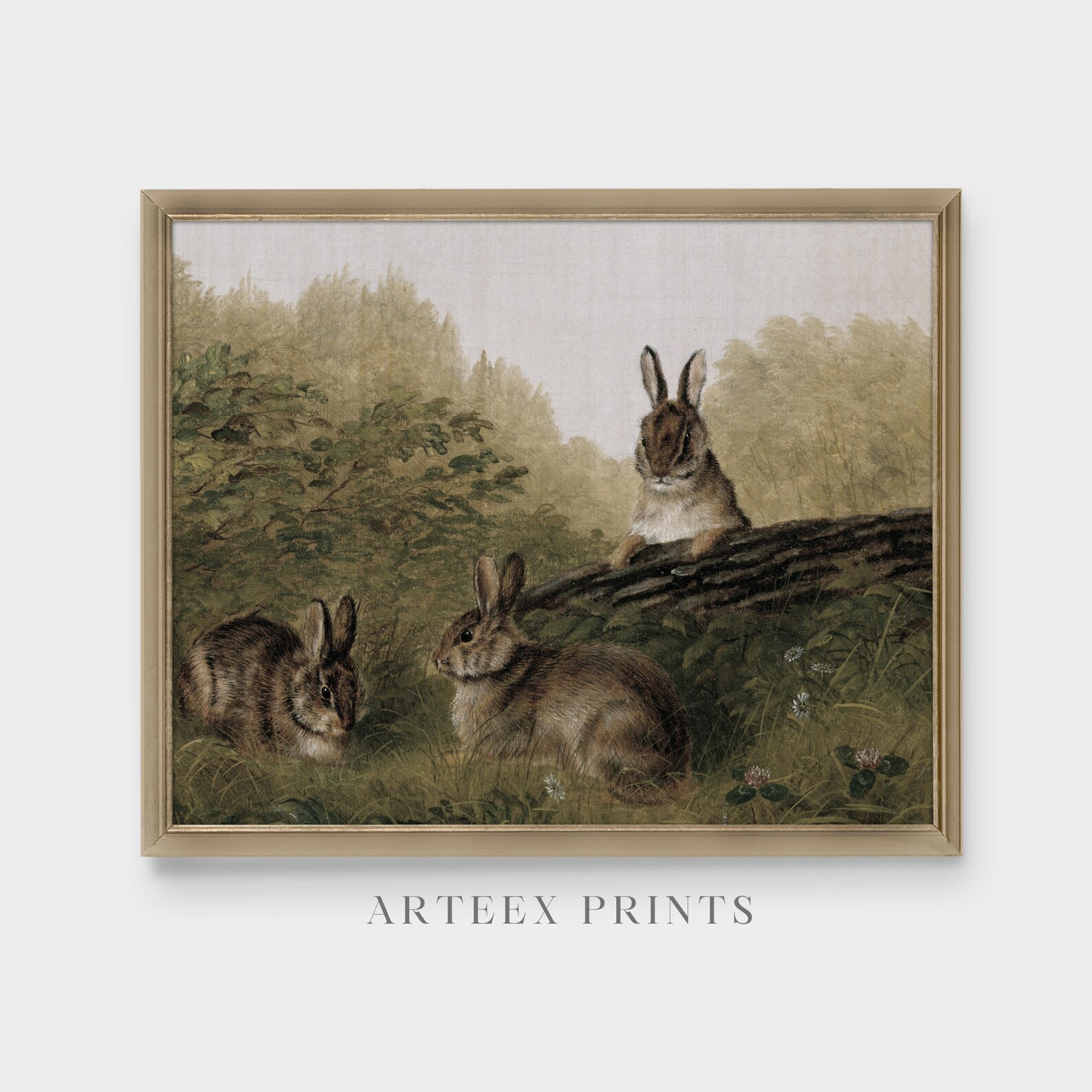 Vintage Rabbit Painting Antique Animal Print Digital | Etsy