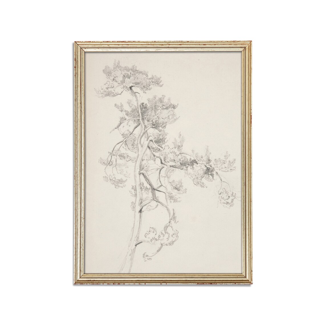 Vintage Foliage Print Antique Tree Drawing Digital - Etsy
