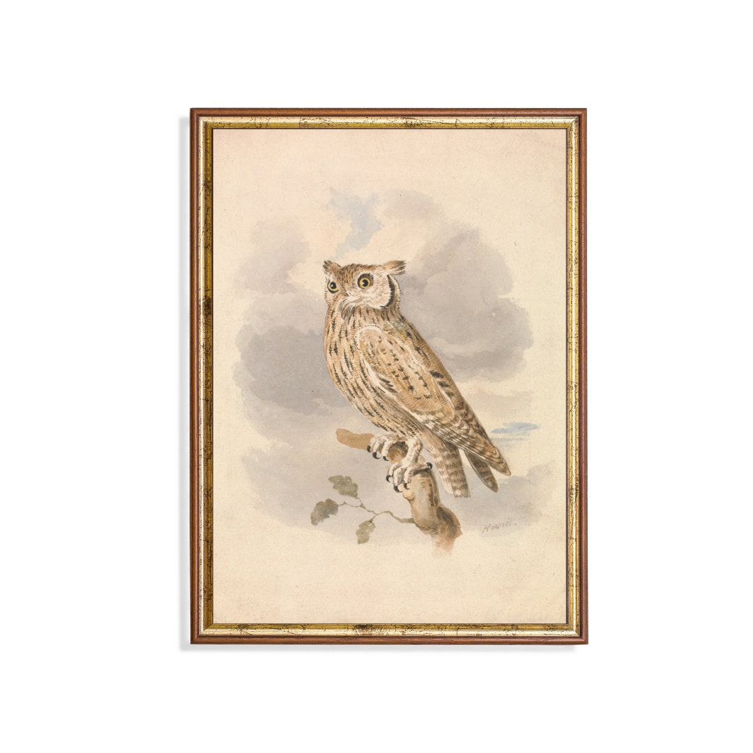 Printed and Shipped Vintage Owl Print Antique Bird Artwork Rustic ...