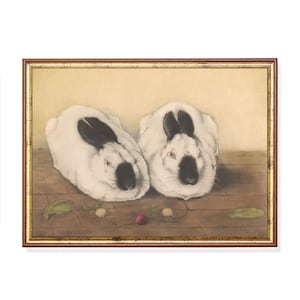 Two Himalayan Rabbits | Vintage Rabbit Painting | Antique Animal Print ...