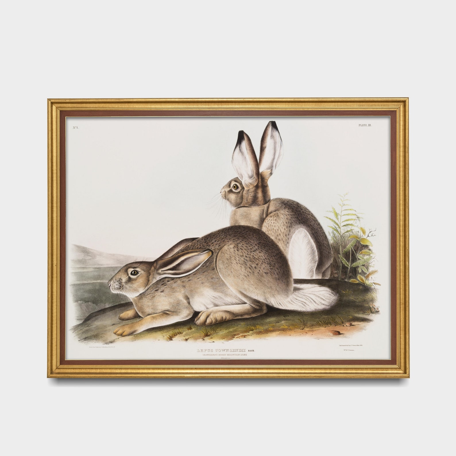 Vintage Rabbit Print Antique Bunnies Painting Farmhouse | Etsy