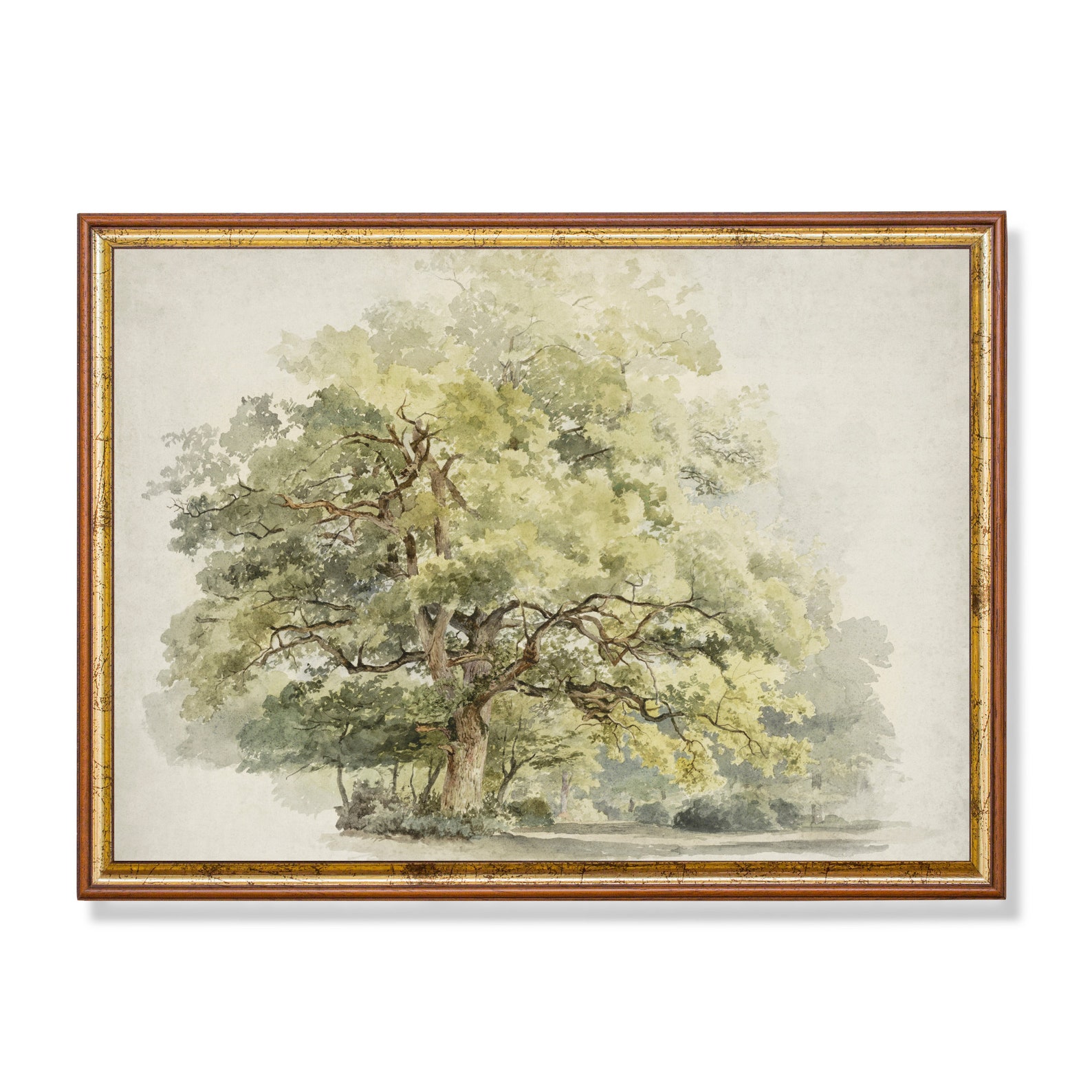 Printed and Shipped Vintage Oak Tree Painting Antique - Etsy
