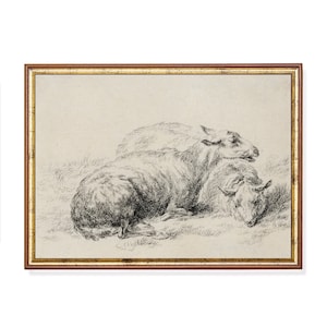Vintage Sheep Drawing Antique Sketch Print Digital - Etsy