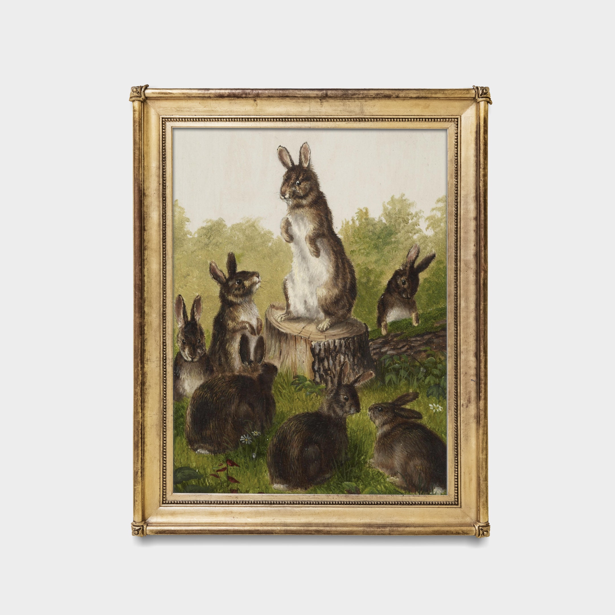 Vintage Gallery Wall Set of 5 Prints Antique Rabbit - Etsy