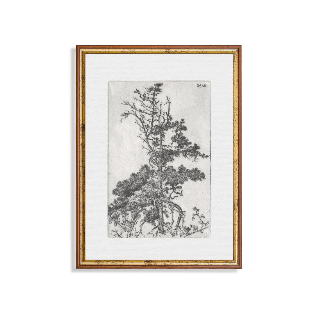 Vintage Tree Etching Print | Rustic Nature Art (digital Download) - Etsy