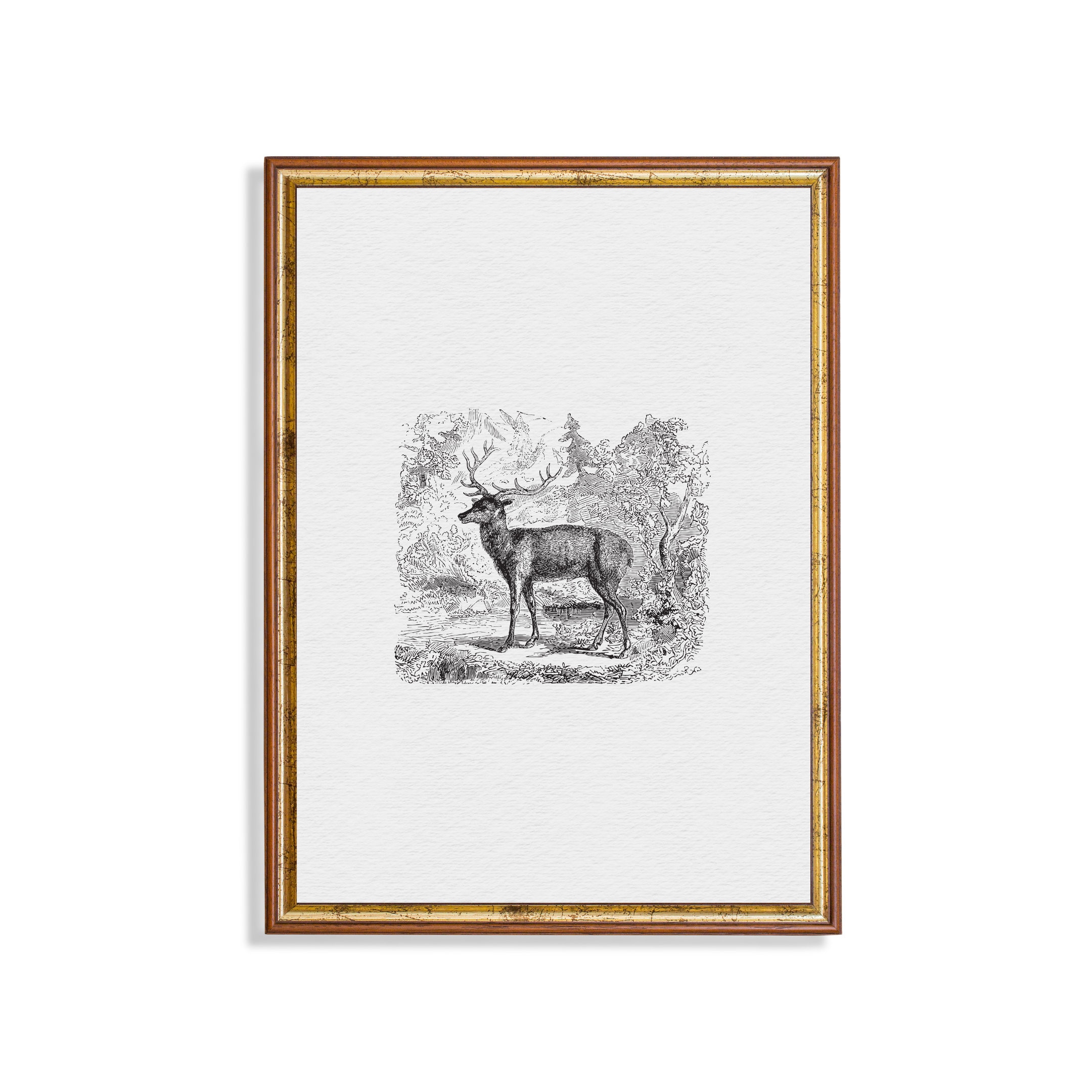 Vintage Sketch Drawing Antique Deer Sketch Printable Wall - Etsy