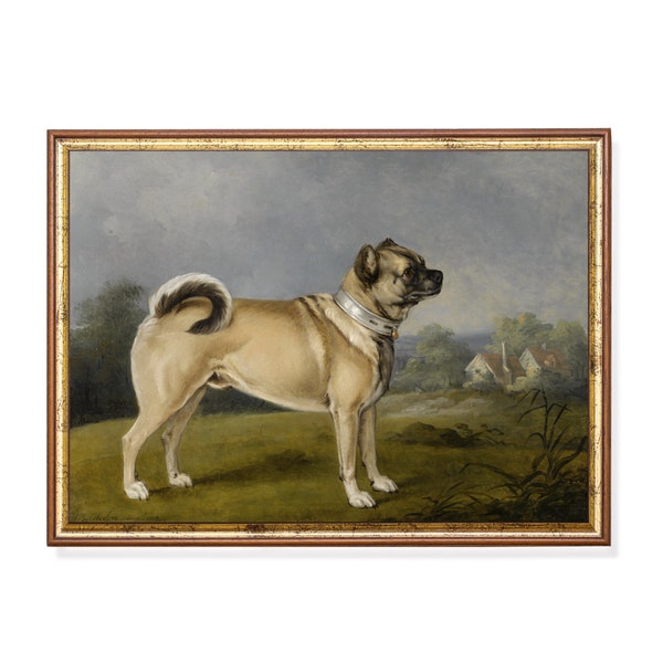 Antique Pug Art - Etsy