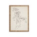 Vintage Foliage Print Antique Tree Drawing Digital - Etsy