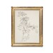 Vintage Foliage Print Antique Tree Drawing Digital - Etsy