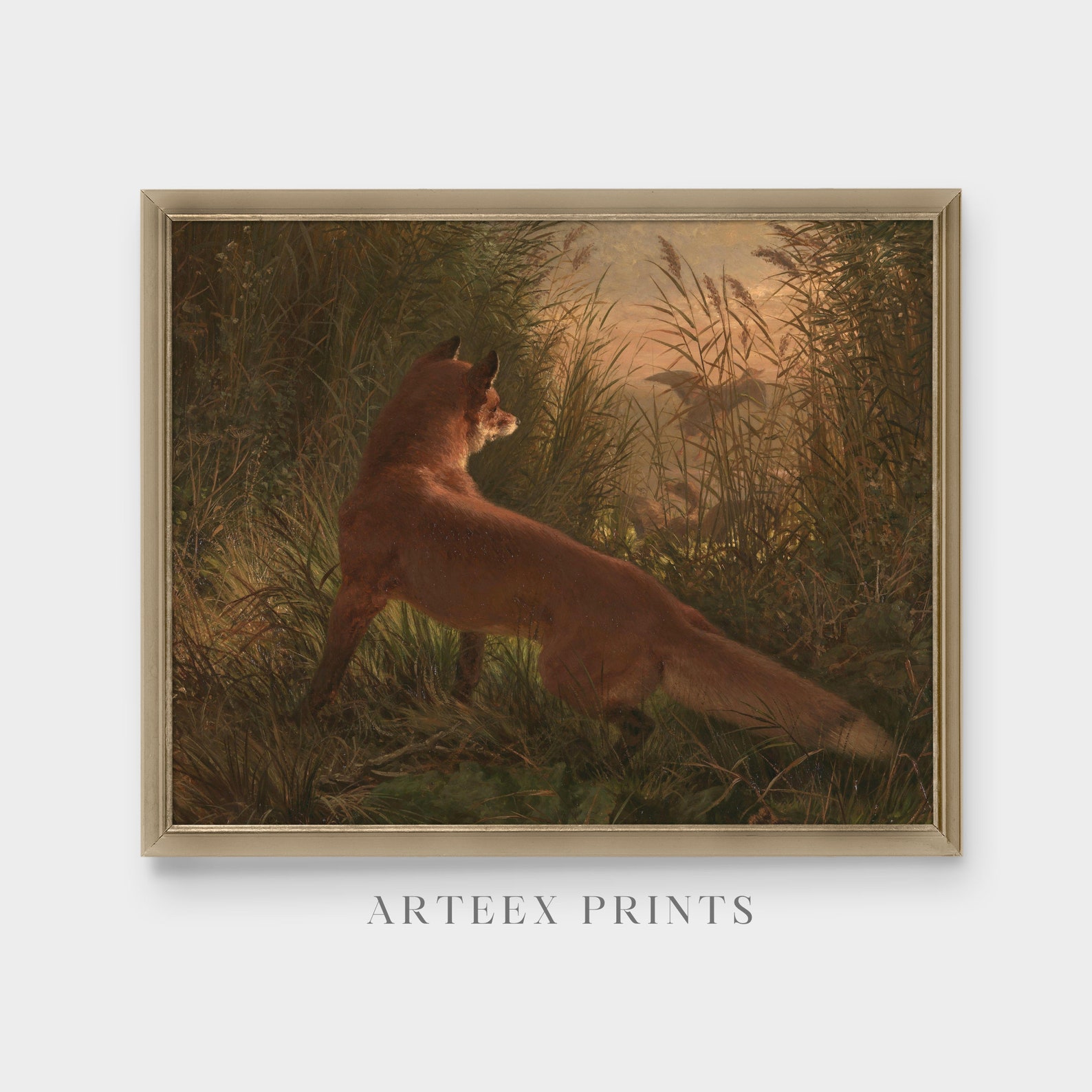 Vintage Fox Painting Antique Animal Print Digital Download - Etsy