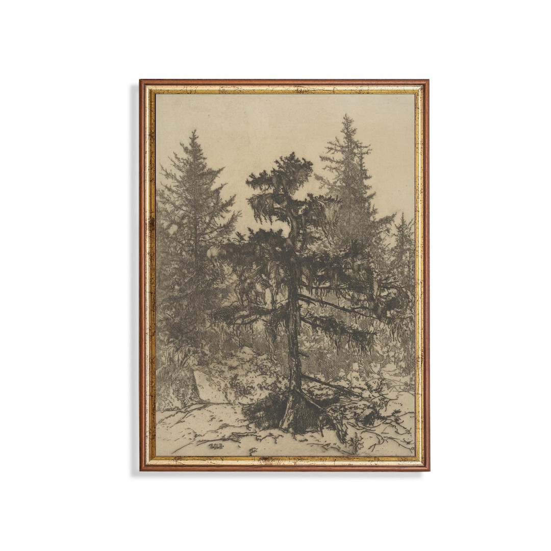 Vintage Forest Etching Print: Rustic Woodland Tree Art (digital ...