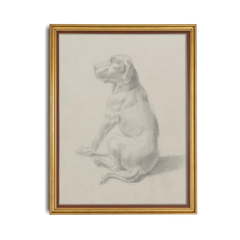 Vintage Dog Sketch: 19th Century Pencil Drawing (digital Download ...