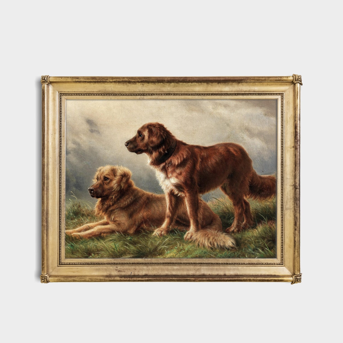 Set of 5 Prints Vintage Gallery Wall Art Antique Dogs - Etsy