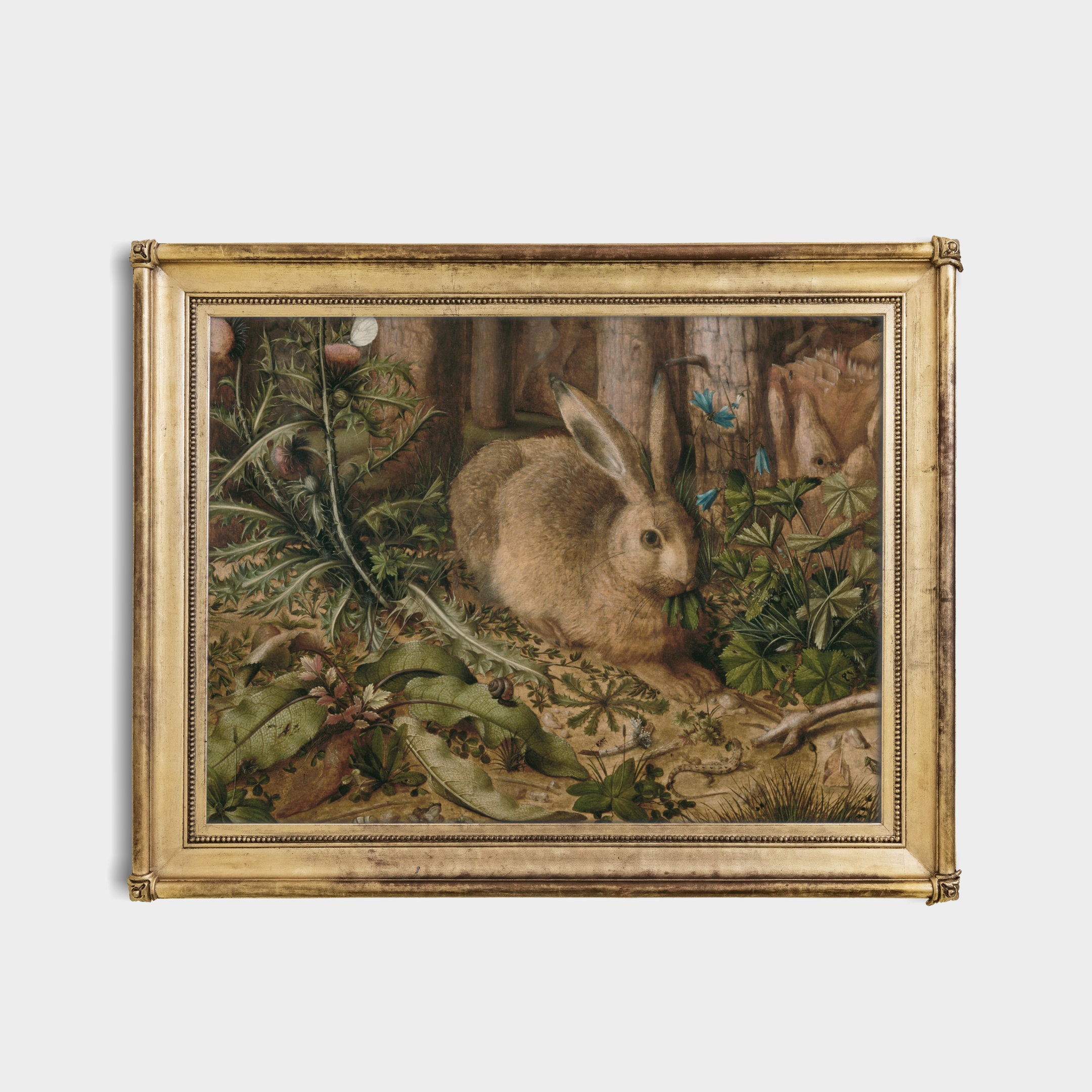 Vintage Gallery Wall Set of 5 Prints Antique Rabbit - Etsy