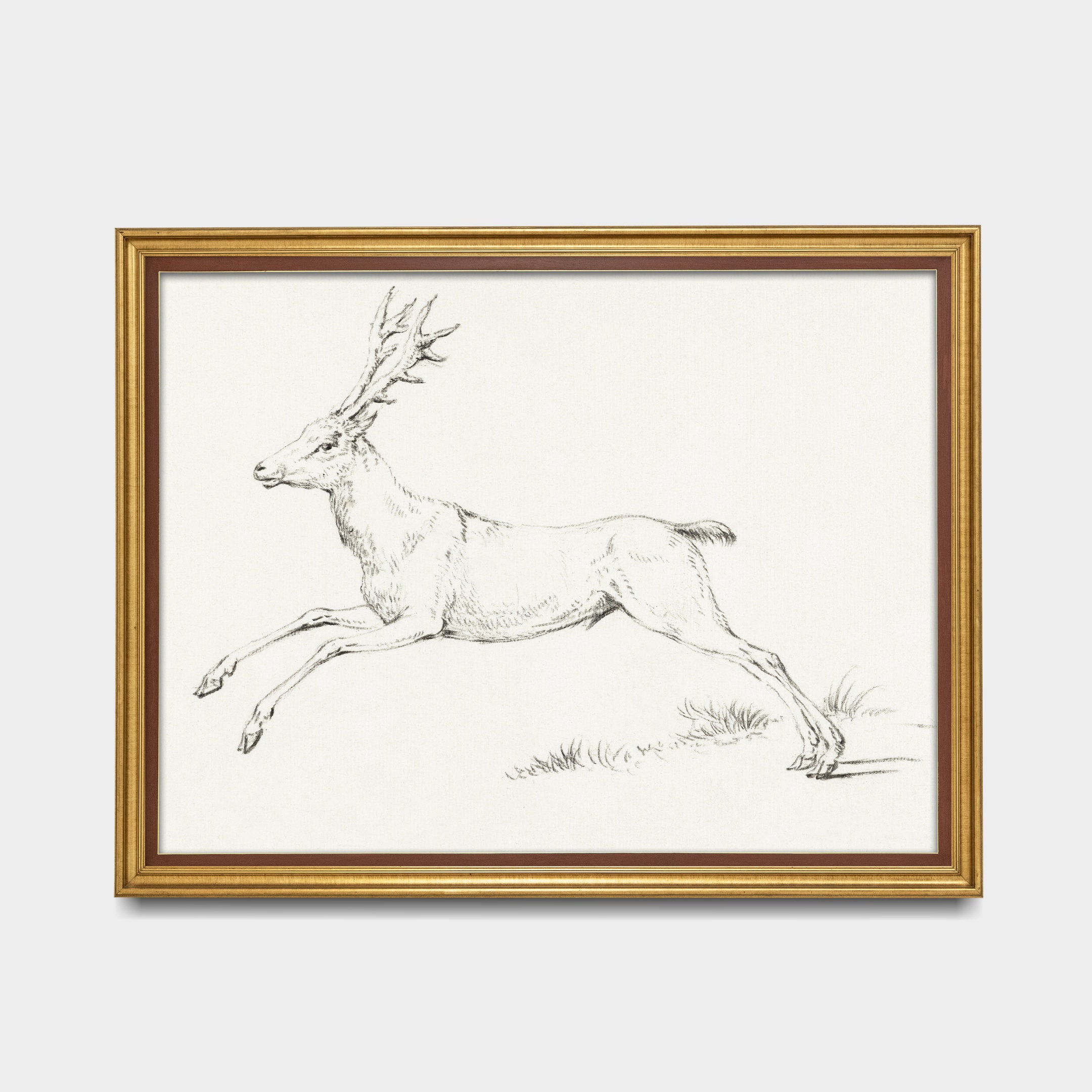 Deer Jumping Drawing