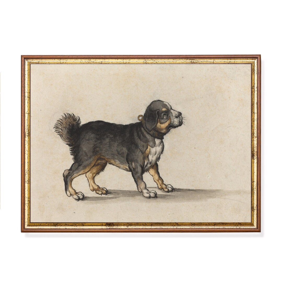 Antique Dog Portrait – 18th Century Canine Art, Pet Lover Gift (digital ...