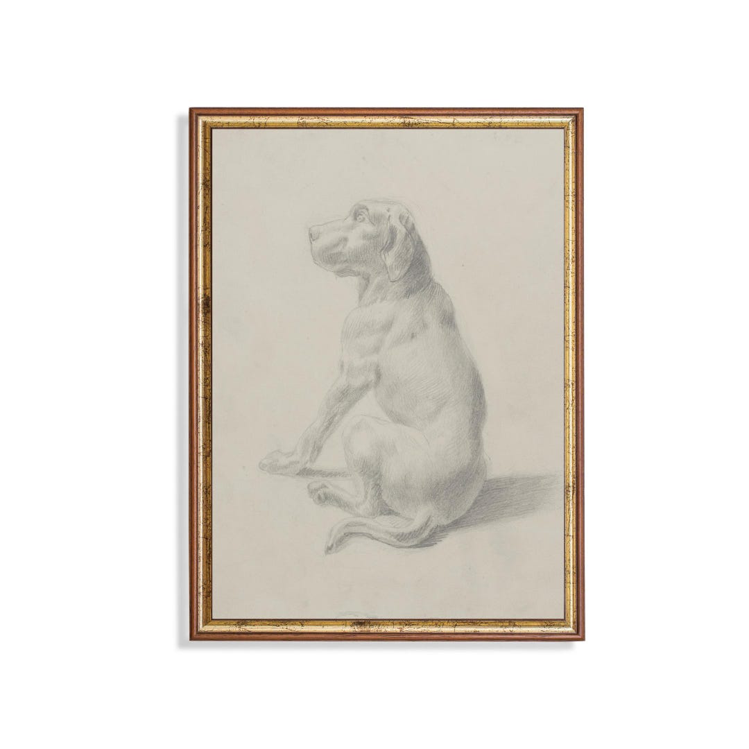 Vintage Dog Sketch: 19th Century Pencil Drawing (digital Download ...