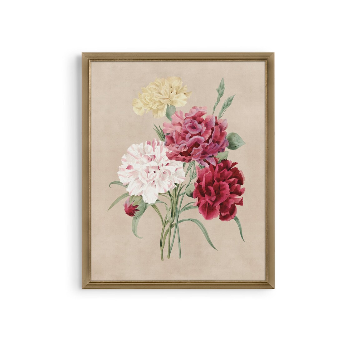 Vintage Carnation Botanical Print: Antique Floral Wall Art - Etsy