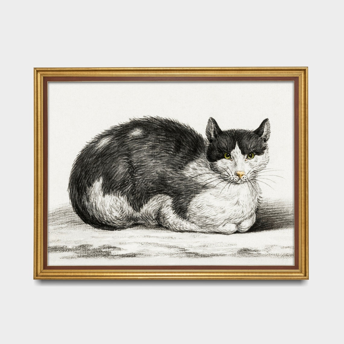 Printed and Shipped Vintage Cat Drawing Antique Lying Cat - Etsy