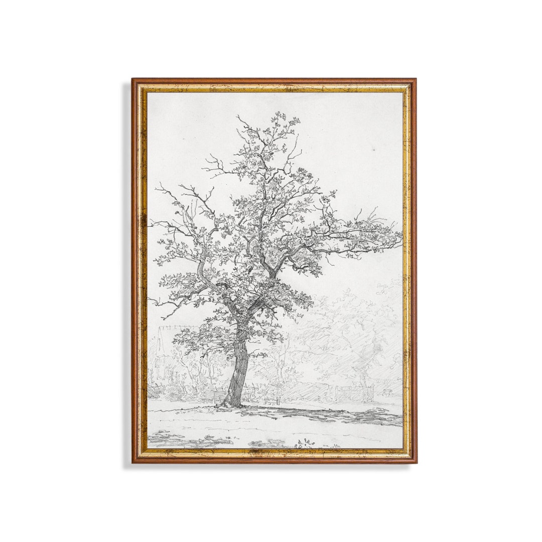 Vintage Tree Sketch Art Print – Solitary Oak Pencil Drawing, Rustic ...