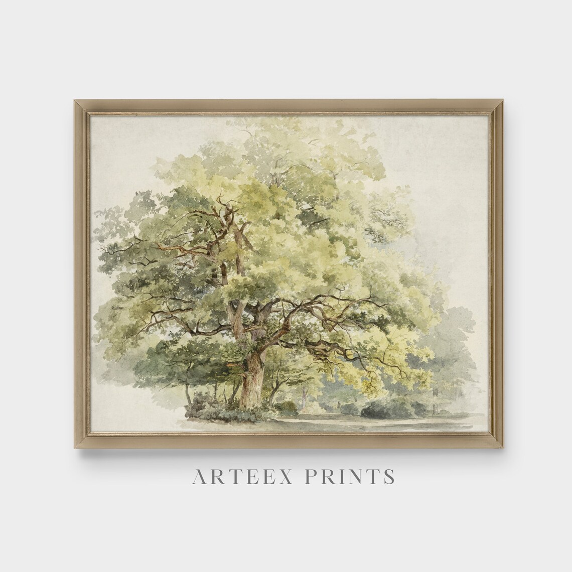 Printed and Shipped Vintage Oak Tree Painting Antique - Etsy