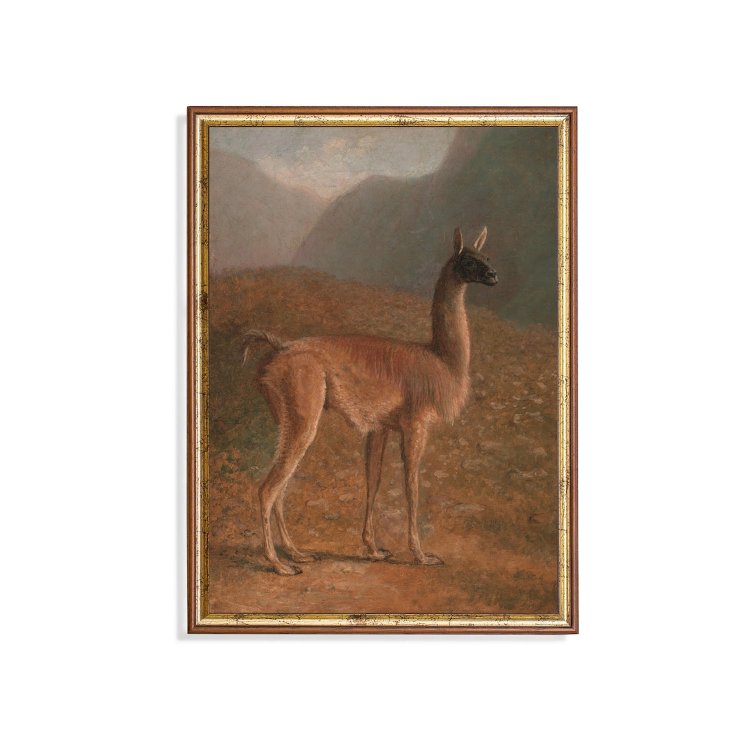 Vintage Guanaco Print: Rustic Wildlife Painting, Mountain Scene - Etsy
