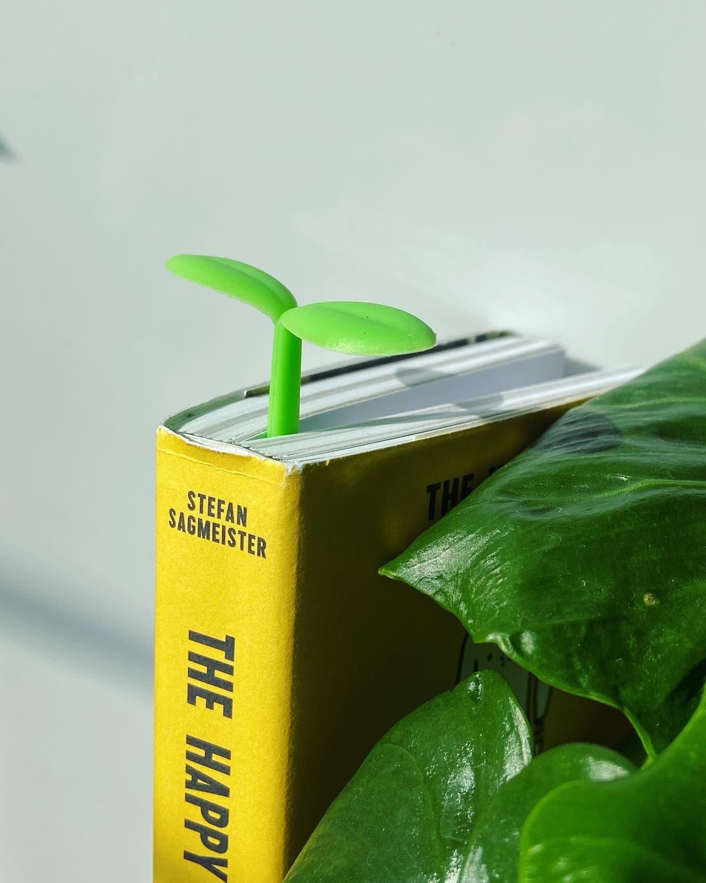 2 per Pack Sprout Bookmarks in Green, Pink, and Yellow - Etsy