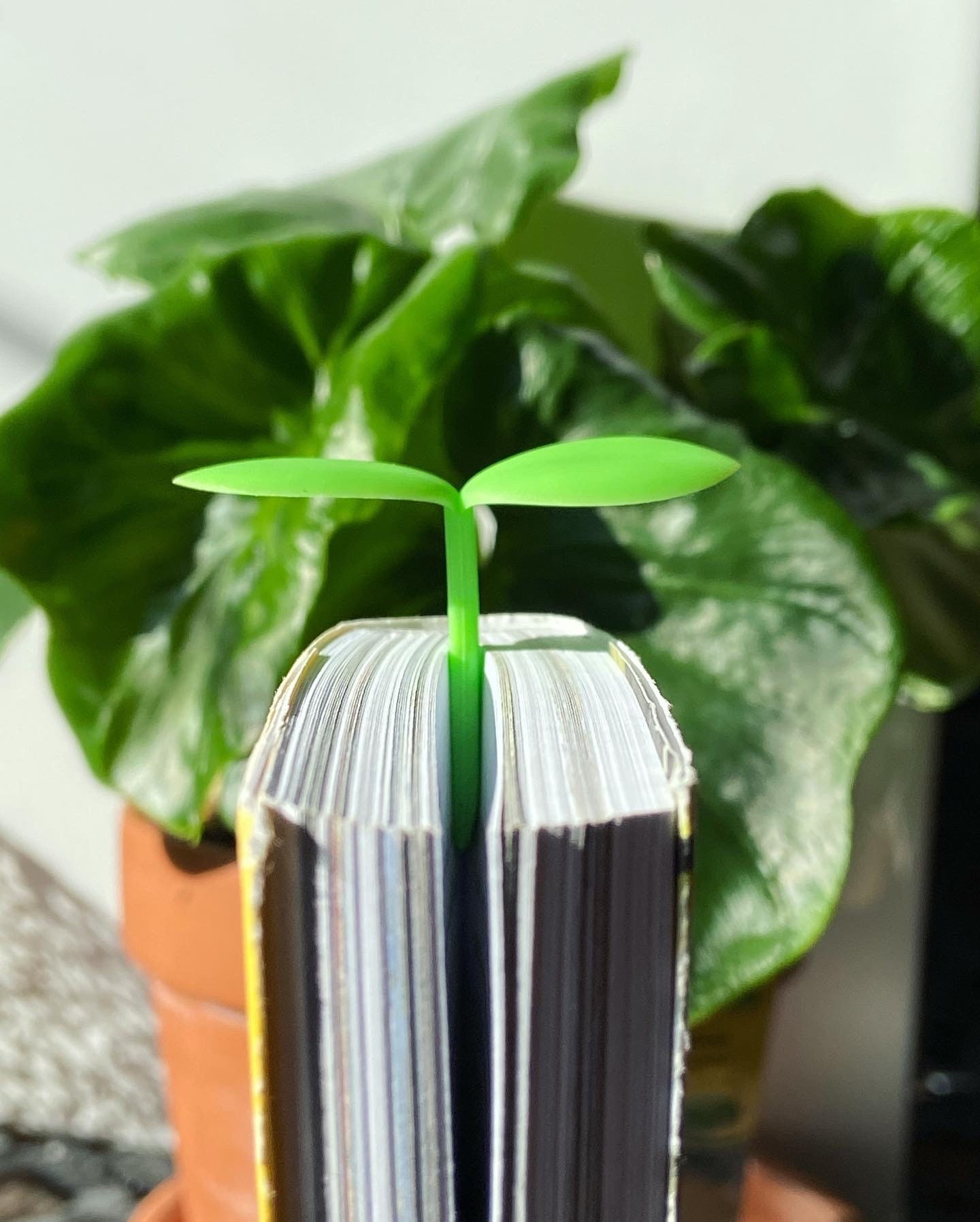 2 per Pack Sprout Bookmarks in Green, Pink, and Yellow - Etsy