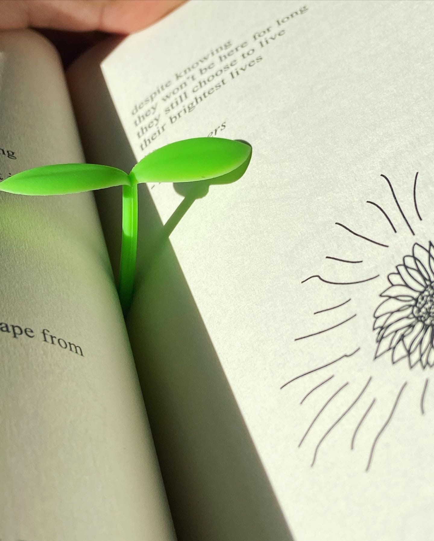 2 per Pack Sprout Bookmarks in Green, Pink, and Yellow - Etsy UK