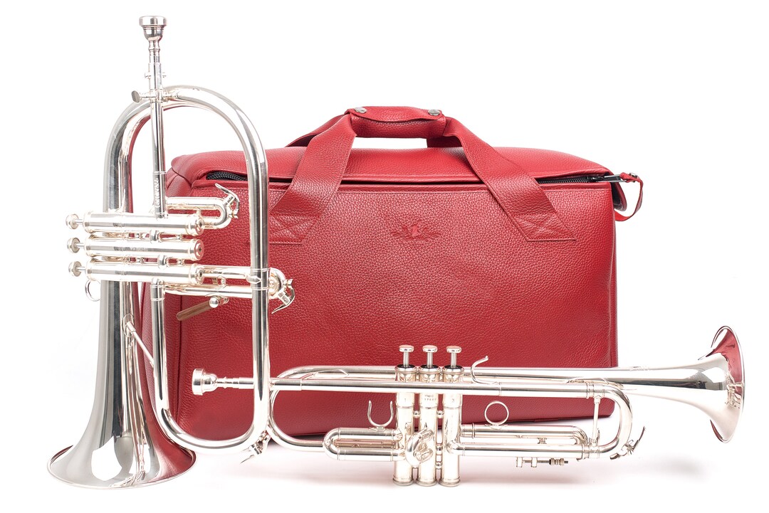 Trumpet Bag, Trumpet Double Bag for Flugelhorn, Cornet, Piccolo Trumpet ...