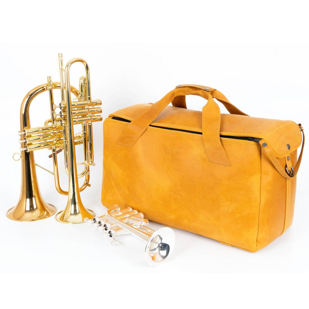 Trumpet Case, Double/triple Gig Bag for Flugelhorn, Cornet, Piccolo ...