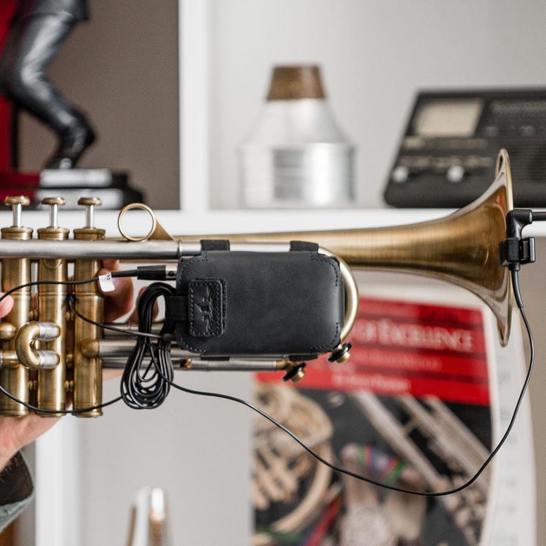 Leather Trumpet Microphone Pouch: Personalized Wireless Transmitter ...