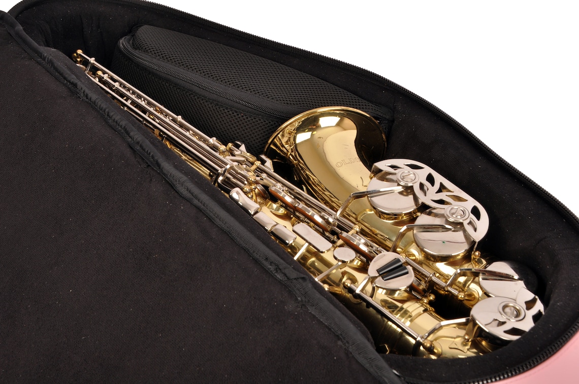 Alto Saxophone Case by MG Leather Work Genuine Leather Gig Bag - Etsy