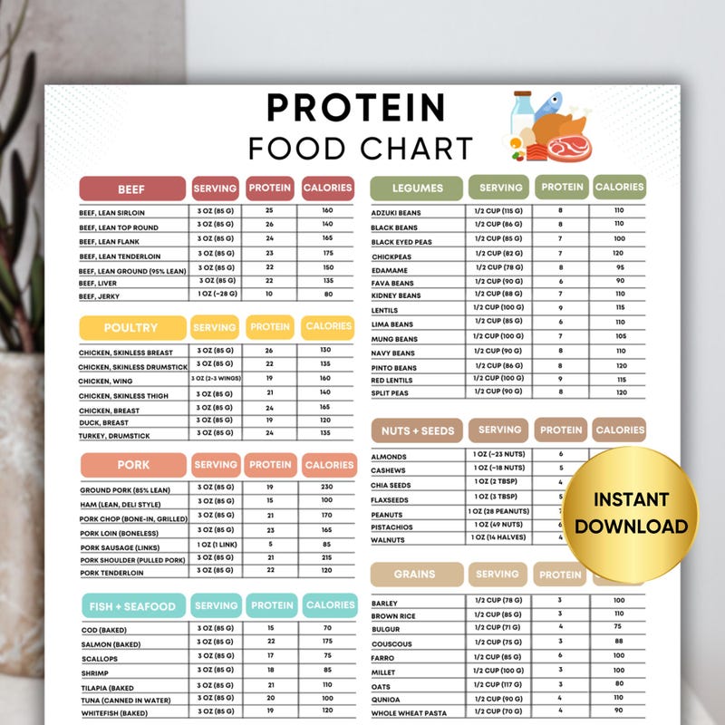 Protein Food Printables - Etsy UK
