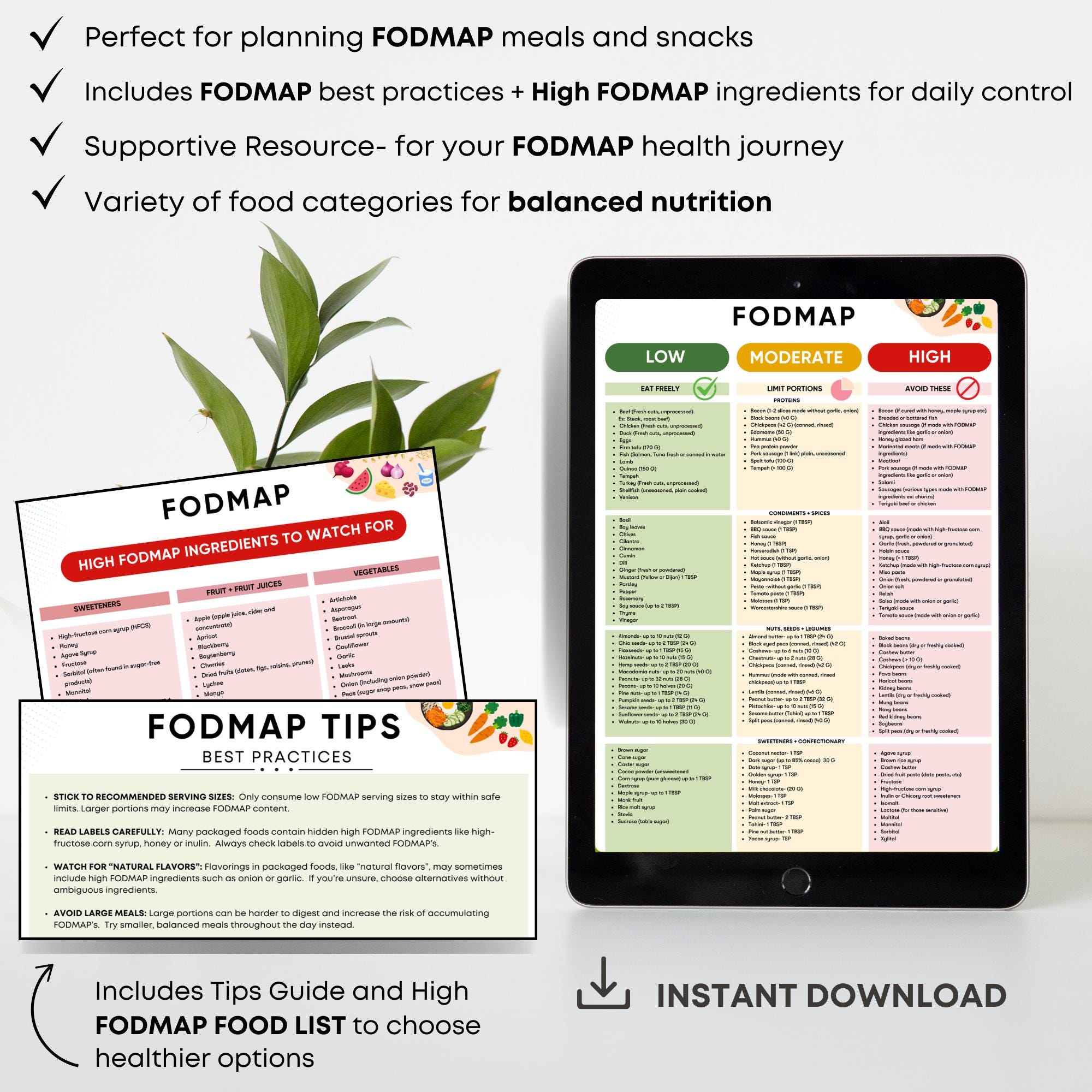 Low FODMAP Food Chart and IBS Grocery Guide, Printable Food List for ...