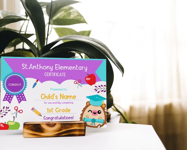 Elementary School Graduation Diploma Certificates Preschool - Etsy