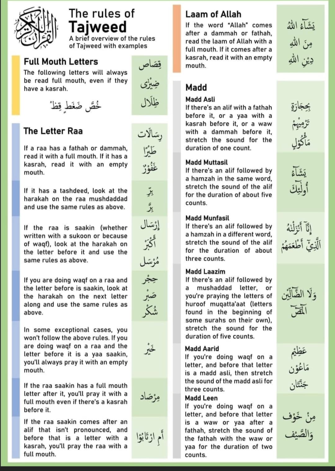 Digital Download Tajweed Rules Card Gloss Laminated Children ...