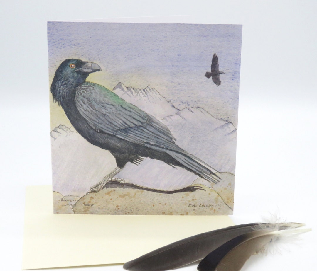 Bird Greetings Card, Raven, Scotland, Watercolour, Blank, Mens Birthday ...