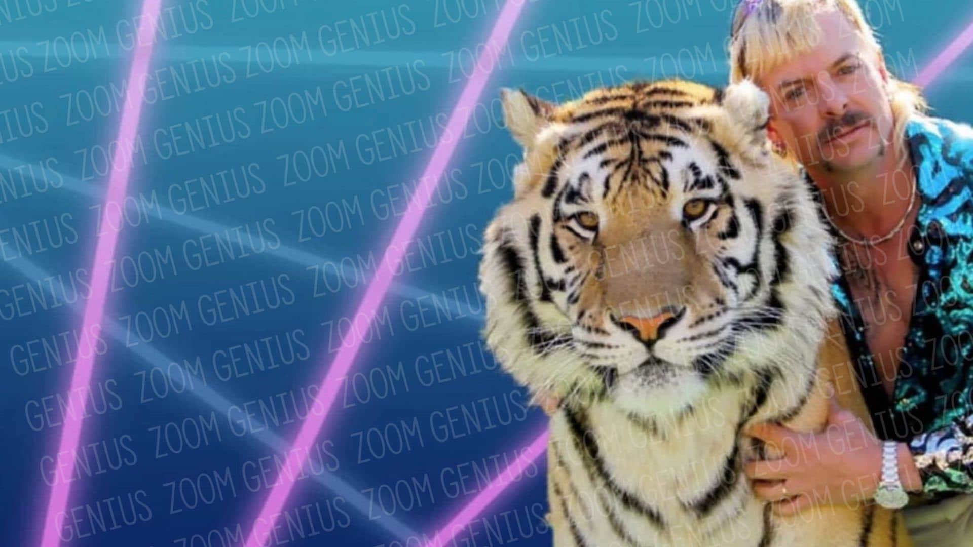 Zoom Background Tiger King - Etsy