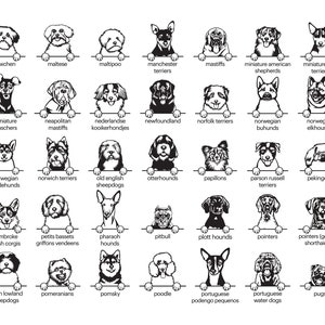 Dog Breeds | Design Vector | Wall Art | Sign for Home | Home Signs ...