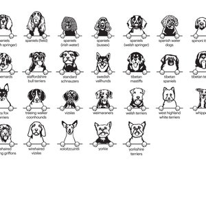 Dog Breeds | Design Vector | Wall Art | Sign for Home | Home Signs ...