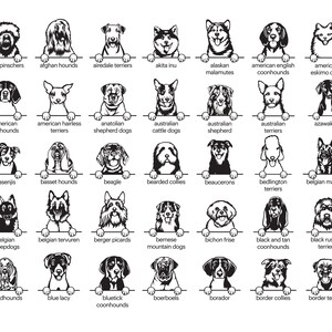 Dog Breeds | Design Vector | Wall Art | Sign for Home | Home Signs ...