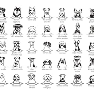 Dog Breeds | Design Vector | Wall Art | Sign for Home | Home Signs ...