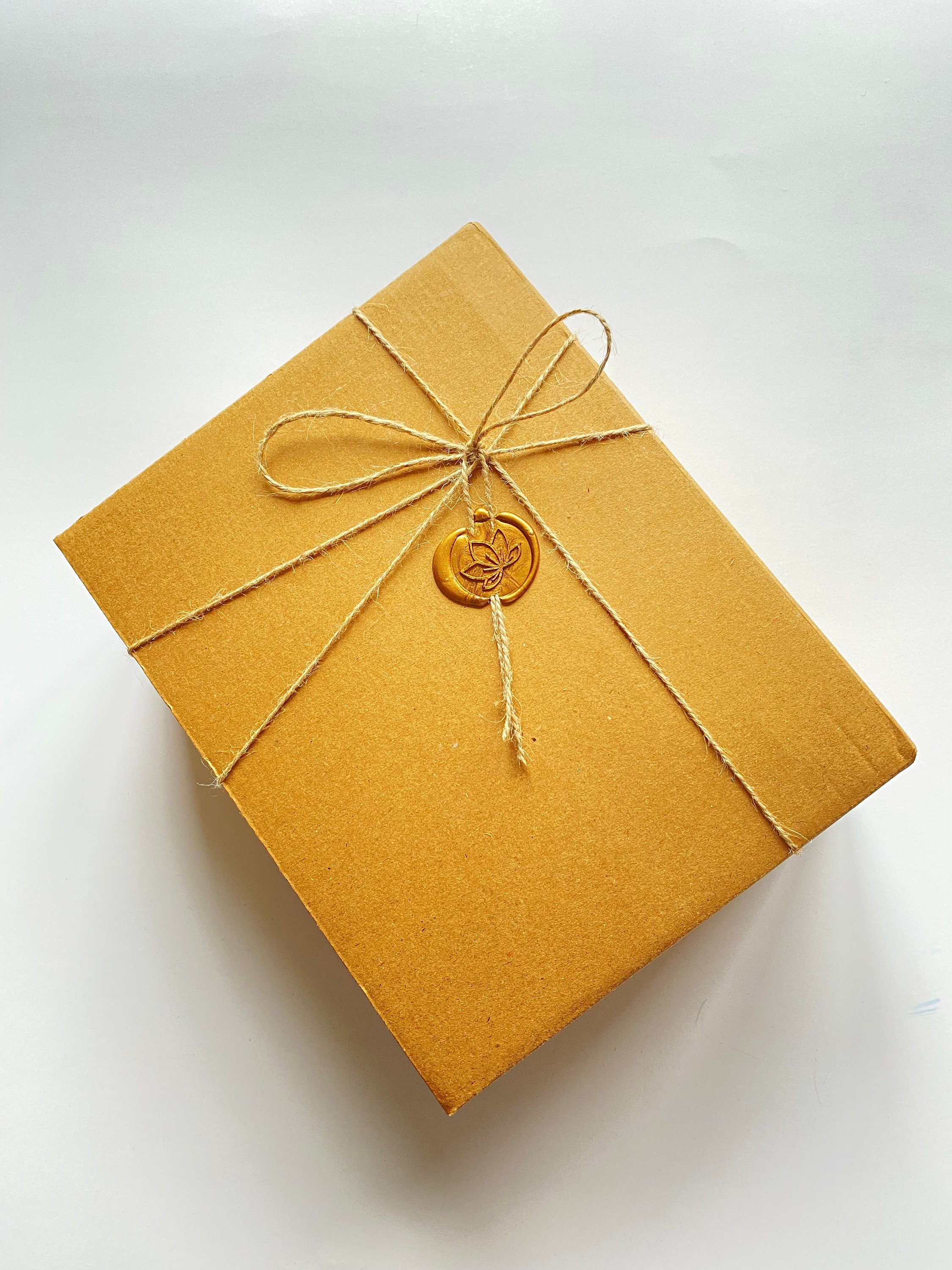 CROCHET KIT Marcy Doll With Printed Patternamigurumi Kithow - Etsy