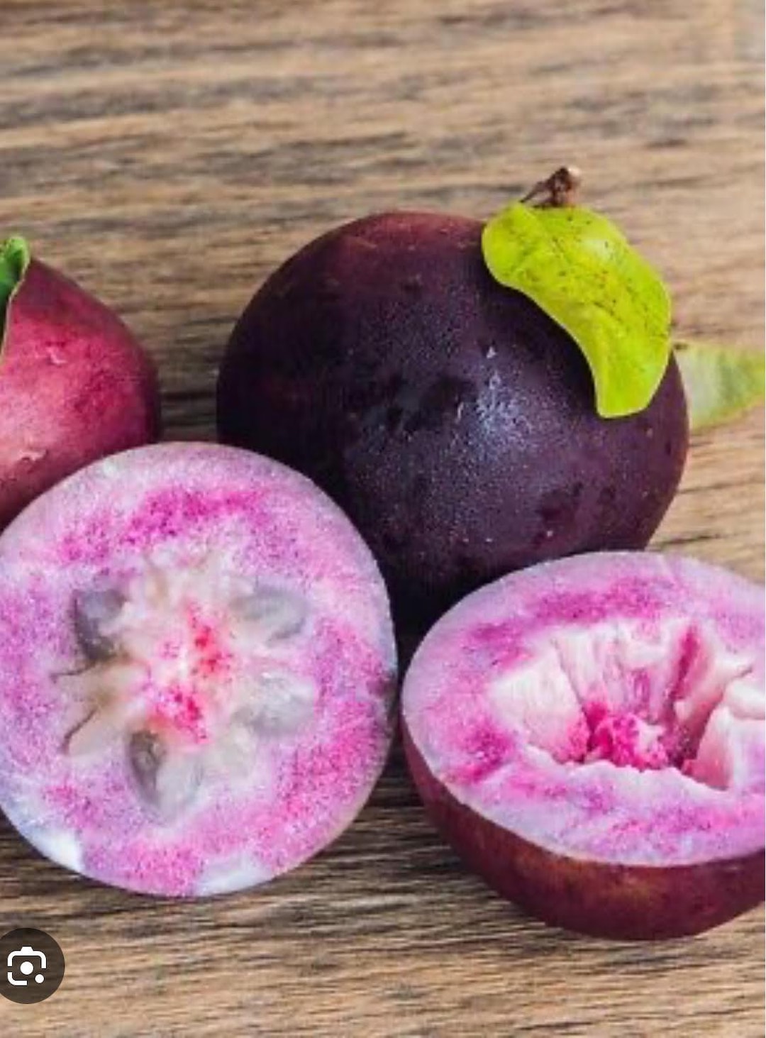 Star Apple Purple - Milk Apple - Caimito - Grafted - Etsy