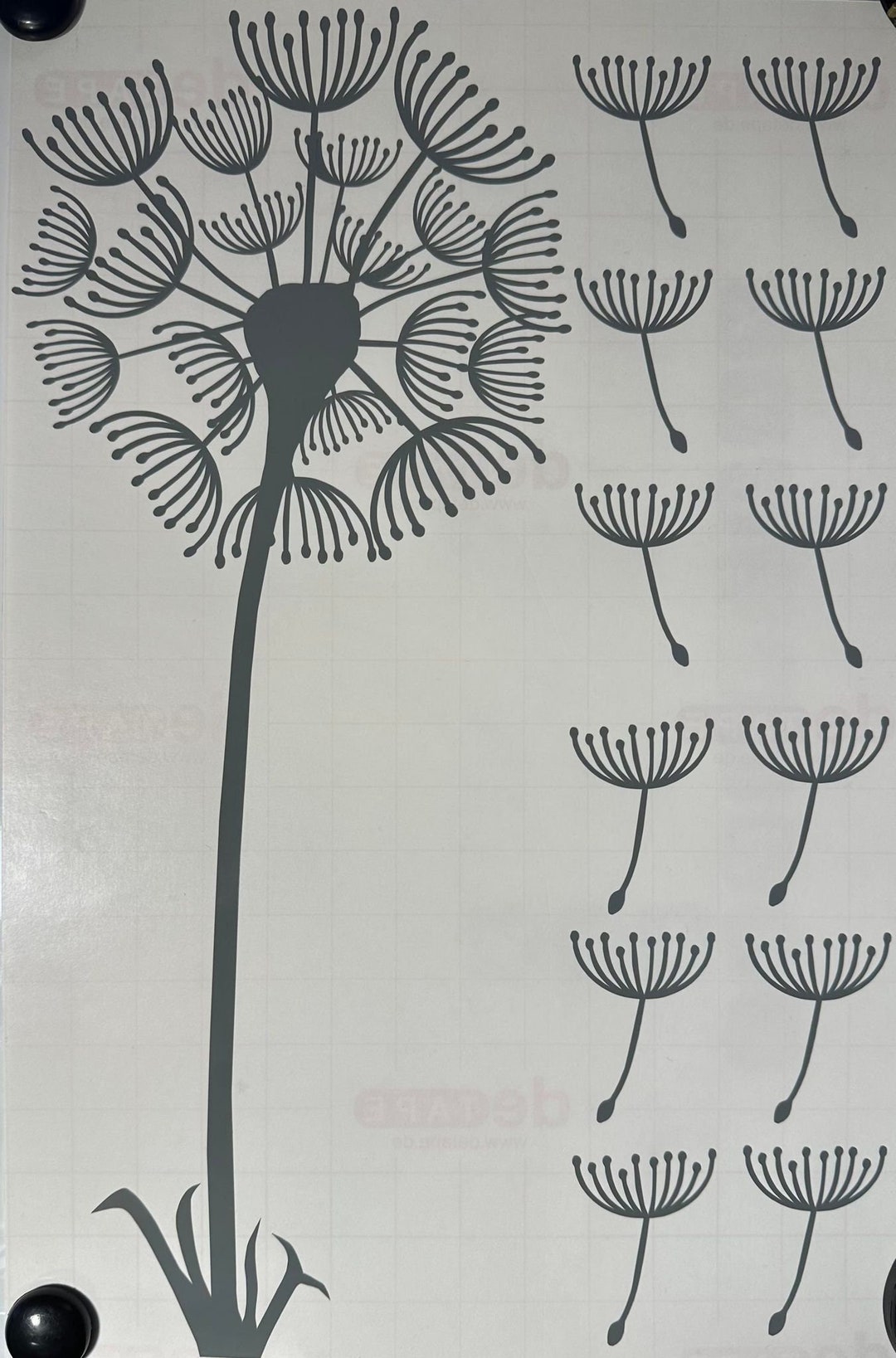 Dandelion With 12 Seeds Vehicle Sticker - Etsy