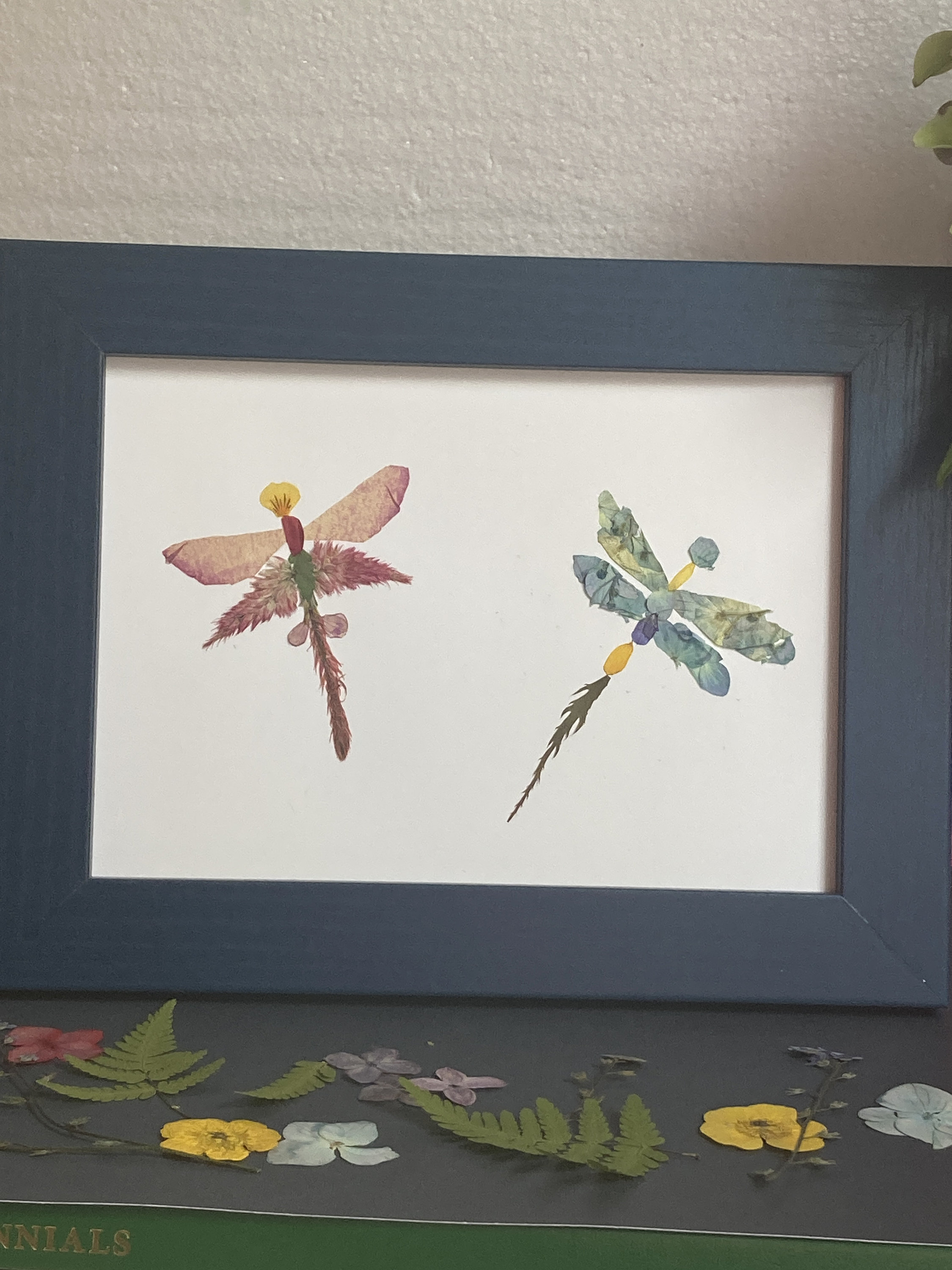 Dragonflies in Flight - Etsy